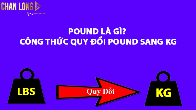 Pound là gì? Công thức quy đổi Pound sang kg